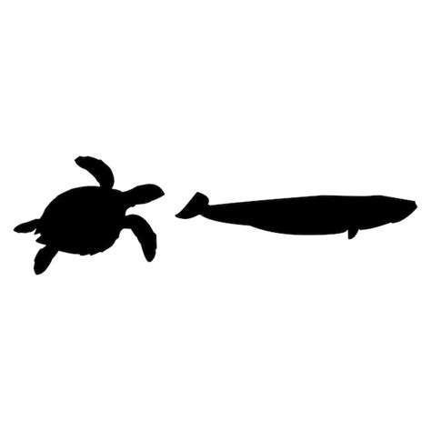 Premium Vector Turtle Vector Premium Vector Turtle Vector