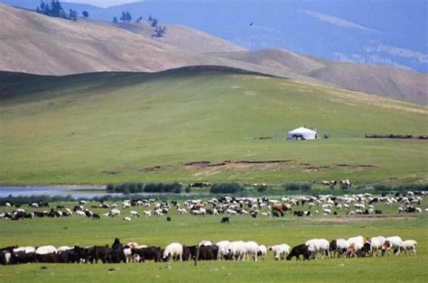 Өвөл хаврын бэлчээрийн даац нутгийн 50 орчим хувьд хэтрэлттэй байна