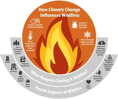 Face To Face With Scorching Wildfire Potential Toxicant Exposure And