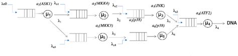 Figure 1 From Kullback Leibler Divergence Of An Open Queuing Network Of A Cell Signal