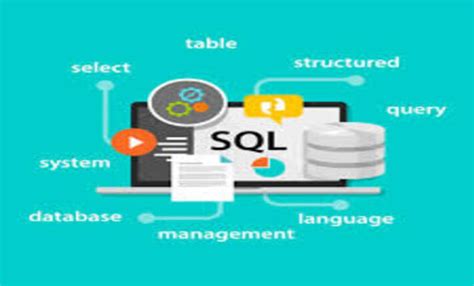 Design Database Mssql Mysql Erd Schemas Queries By Sidrah89 Fiverr