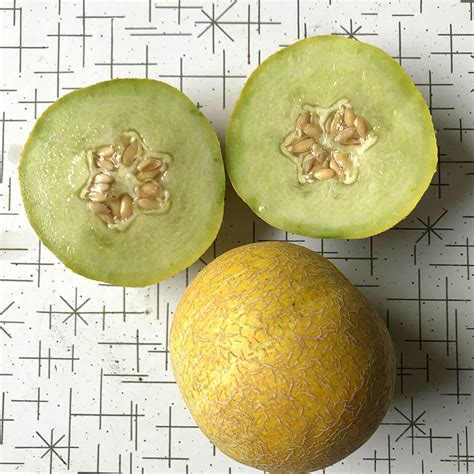 Melon Farthest North Galia No Coast Seeds