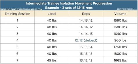 Linear Progression And Linear Periodization Rules Explained