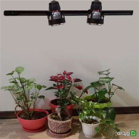 چراغ رشد گیاه، با نور مصنوعی گیاهان تان را سبز کنید چیدانه