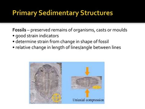 Primary Sedimentary Structures Ppt