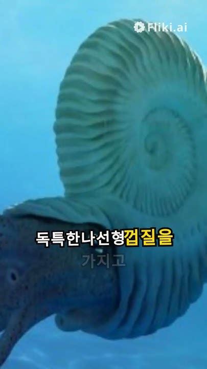 못먹겠지신비한 바다 생물seafood 신기한물고기경이로운아름다운 Youtube