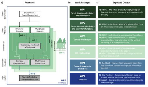 Effects Of Structural And Physiological Forest Attributes On Biodiversity Multi Trophic