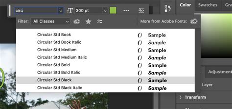 Edit Text Adobe Product Community