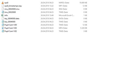 Pupil Player Crashes While Updating Recording Format · Issue 1169 · Pupil Labspupil · Github