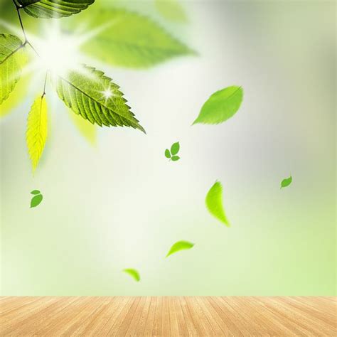 树枝苹果背景图片树枝苹果背景素材图片千库网
