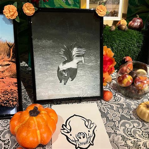 Sky Island Alliance Una Ofrenda Para Día De Los Muertos