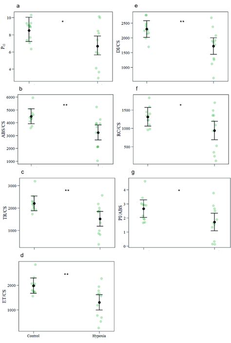 Photobiology Related Phenomenological Energetic Parameters In Coral