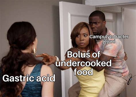 C Jejuni Is Great At Camping R Medicalschool