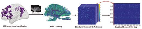 The Chartflow Of Structural Brain Network Construction Download