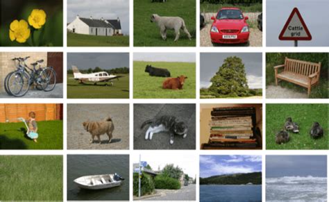 Example Images From The Msrc Dataset Download Scientific Diagram