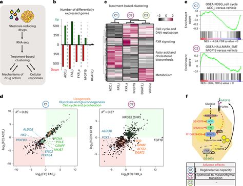 Transcriptome Based Treatment Clustering Reveals Steatosis Reducing