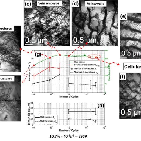 Dislocation Evolution And The Corresponding Cyclic Deformation Behavior Download Scientific