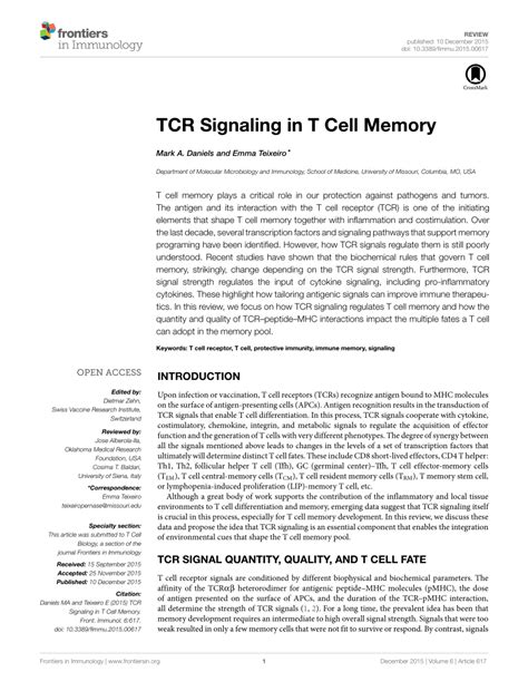 Pdf Tcr Signaling In T Cell Memory