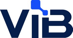 About Us ViB Tech