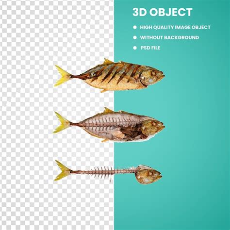 Page 4 Yellow Spotted Triggerfish Psd 300 High Quality Free Psd
