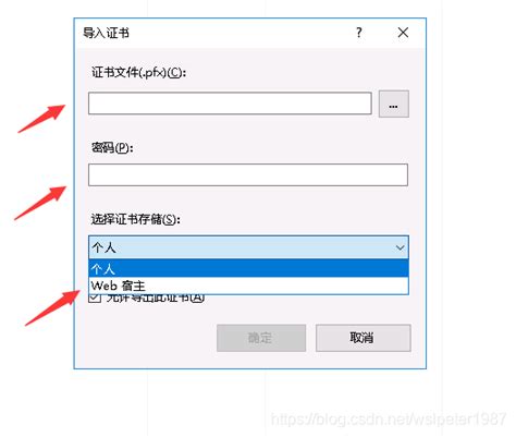 windows server 2016下iis导入ssl证书，支持多域名通配符设置 iis 导入证书 web 宿主 csdn博客
