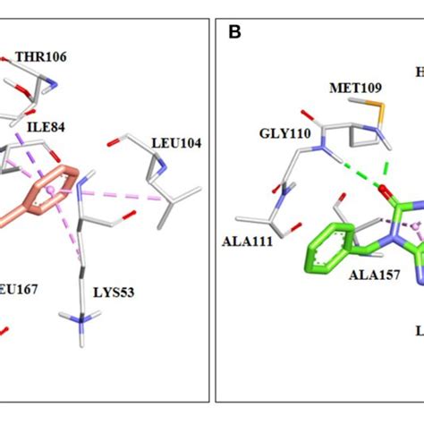 The Crystal Structure Of Imatinib Bound Form Of The Abl Kinase Pdb