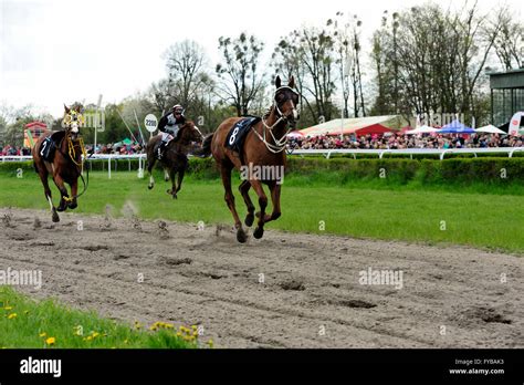 Poland 24th April 2016 Racing Horse Partynice Wroclaw Poland