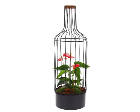 Producten The Green Bottle Garden