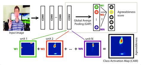The Used Class Activation Maps Cam To Interpret The Cnn Models In