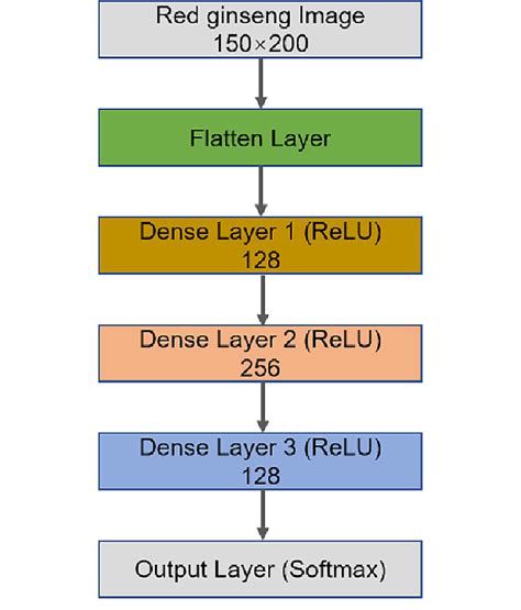 Architecture Of Fnn Model Download Scientific Diagram