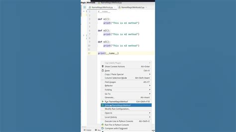 Unlocking The Magic In Python The Importance Of Name Methods Thepythonparadox Pythontricks