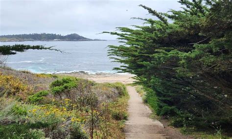 15 Best Beaches In Monterey Bay California