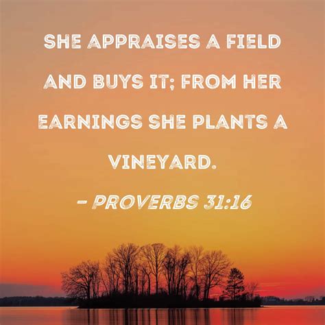 Proverbs 31 16 She Appraises A Field And Buys It From Her Earnings She Plants A Vineyard