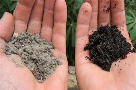 How To Improve Garden Soil The Grow Network The Grow Network