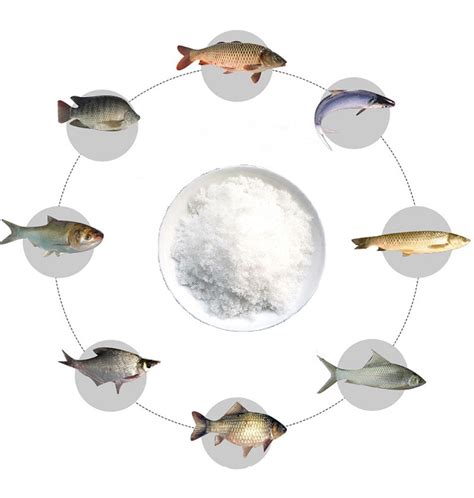 Potassium Diformate Does Not Affect Shrimp Growth Survival