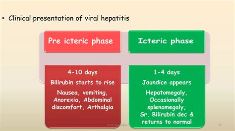 Heme Catabolism And Jaundice Ppsx