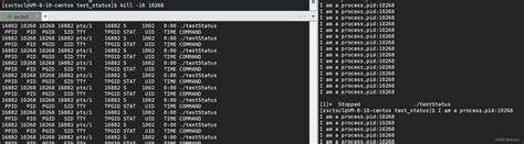 Linux进程状态 僵尸进程和孤儿进程 阻塞挂起和运行 腾讯云开发者社区 腾讯云