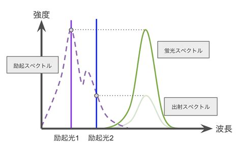 蛍光現象のレンダリング Kugis Notebook