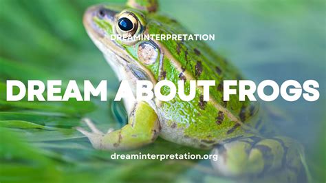Dream About Frog Interpretation And Spiritual Meaning