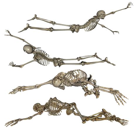 Skeleton Laying Down Now I Lay Me Down To Sleep Skeleton Cupid Art