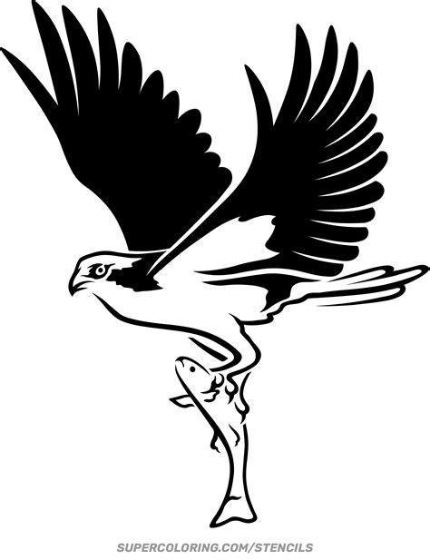 Stencil Of Sea Hawk Free Printable Papercraft Templates