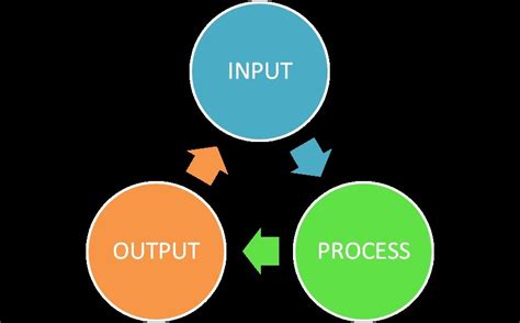 What Do You Understand By Ipo Cycle Describe With Figure
