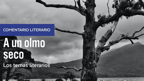 Resuelto El Comentario Sobre Un Olmo Seco Educación Y Publicaciones Editorial