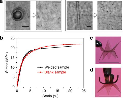 Solvent Induced Welding And Healing Of Epoxy Vitrimer A Solvent Download Scientific Diagram