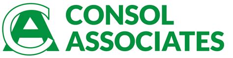 Our Team Consol Associates