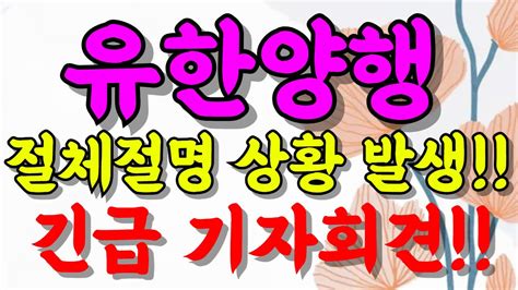 유한양행 주가전망 긴급 🔴3조원대 대박 제약사 기대감 그 어느 누구도 예상치 못했다 초대형 호재 발생 축하드립니다 유한양행목표가 유한양행주식 유한양행