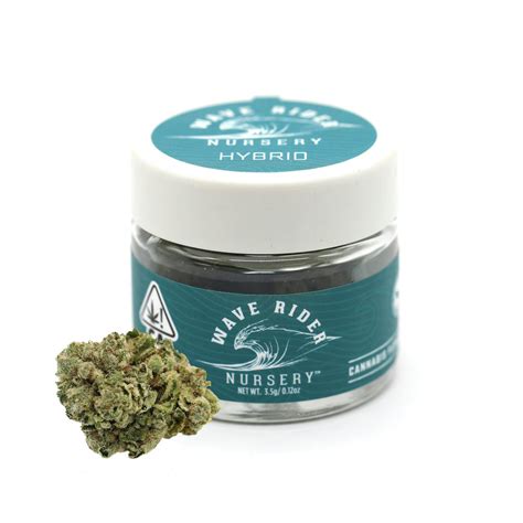 Gg4 1 8 Wave Rider