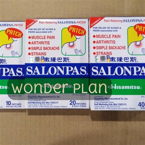 Salonpas Patch 402010patches Shopee Malaysia