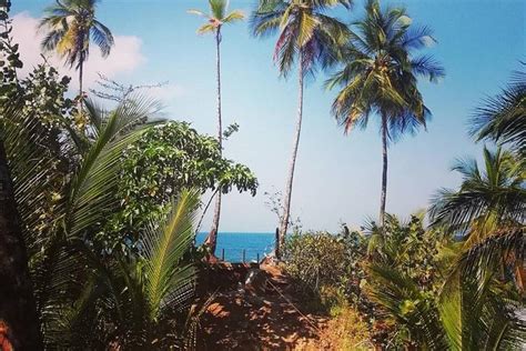 Caribbean Coast Biodiversity Adventure Guided Hike