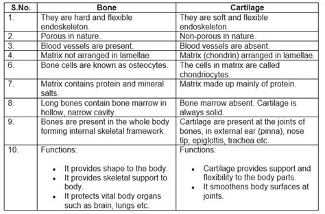 Tissue Types Worksheet Tissues Study Material And Worksheet